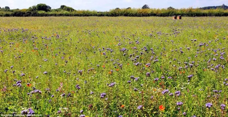 Travel Porn : 10 endroits géniaux où s'arrêter et sentir les fleurs 39415_7