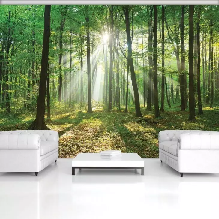 10 Napakagandang Forest Wallpaper at Tree Wallpaper - 2022 Guide 39549_9