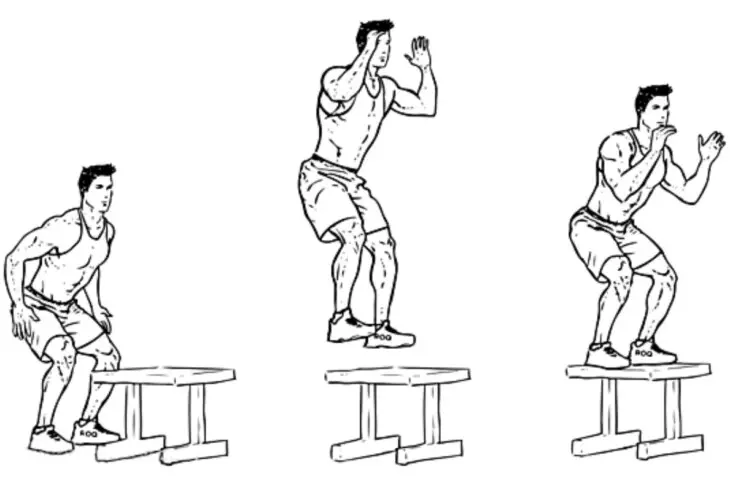 Qu'est-ce que la loi de Wolff et comment est-elle liée à la posture et à la santé musculo-squelettique 40216_3