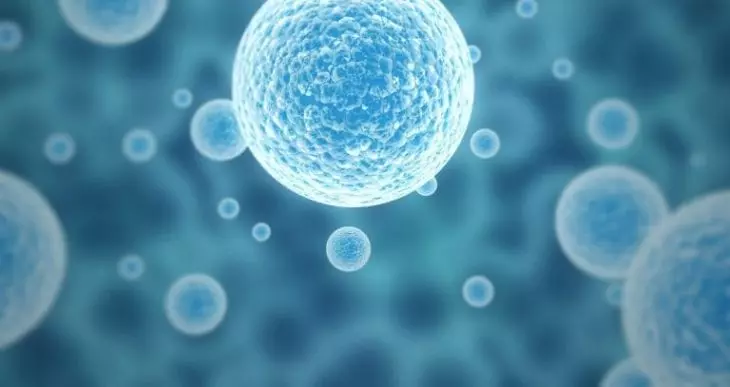 Ihe niile I Kwesịrị Ịma Banyere Ọgwụ Stem Cell Therapy and Research 40585_2