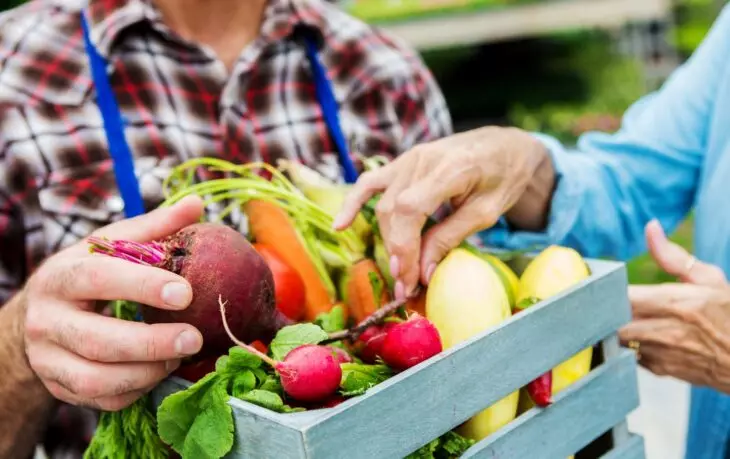 6 razões pelas quais a nutrição é a chave para uma boa saúde 4107_2