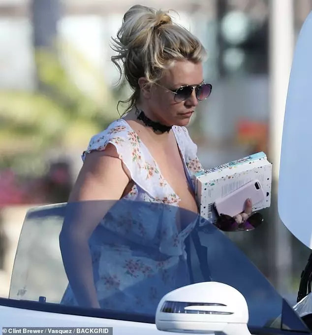 Oih! Britney Spearsi kleit näitas peaaegu liiga palju 41617_1