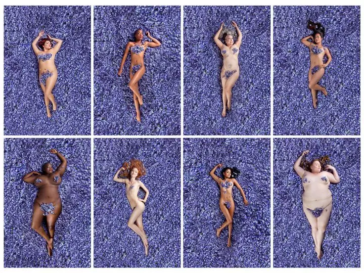 14 жени позираат голи за серијата фотографии „American Beauty“, кои покажуваат дека сите тела се убави