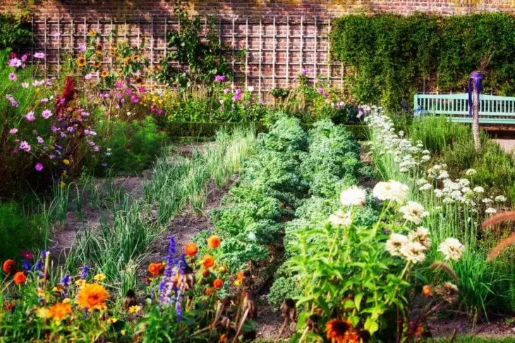 5 conseils essentiels pour cultiver un meilleur jardin 42821_1