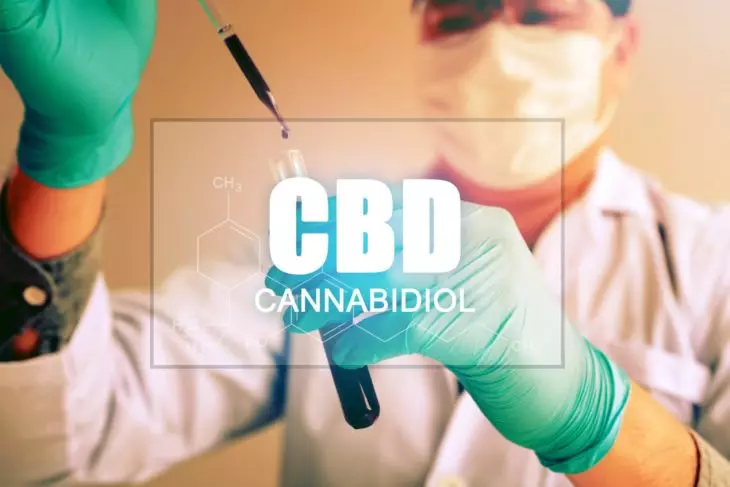 ایا په اروپا کې د CBD تیل قانوني دي؟ 4301_1