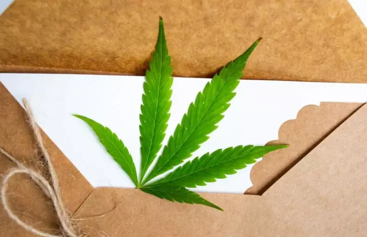 5 fakta att veta innan du köper marijuana online: 2022 guide! 4469_4