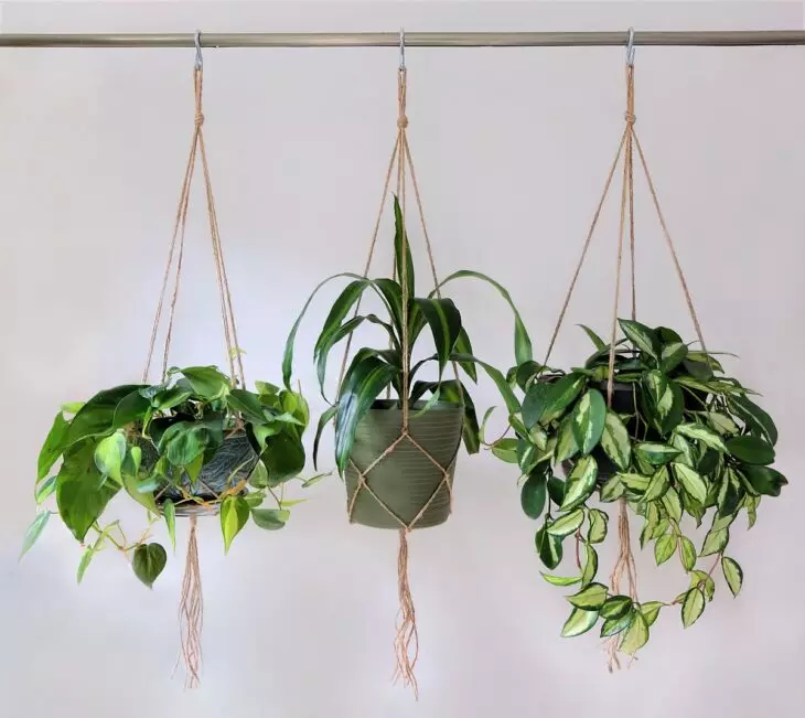 10 måder at dekorere dit hjem med planter og grønt 4726_2