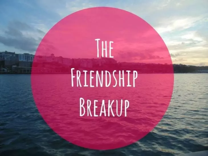 7 правила на ангажман за раскинување на пријателството 48235_2