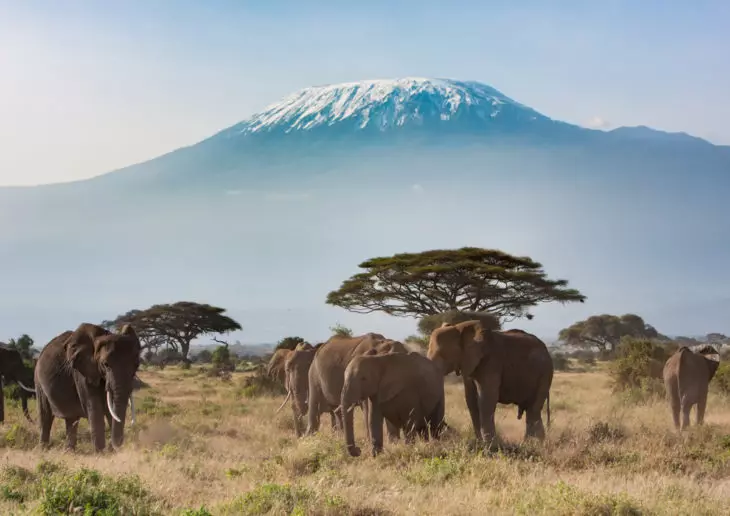Njut av Kilimanjaros skönhet – förstahandsupplevelse 49323_1