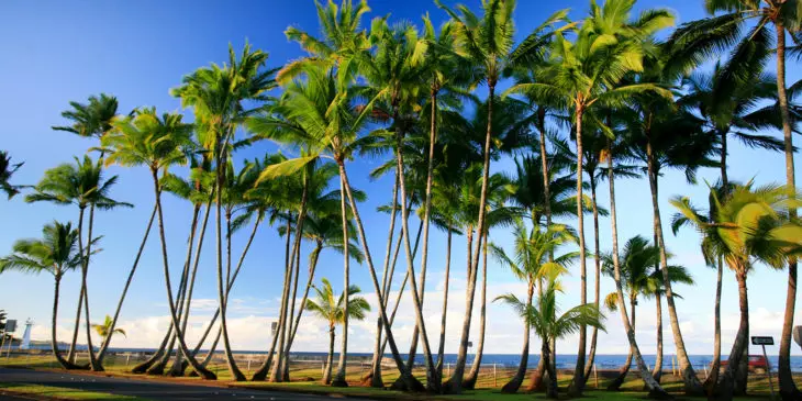 Città che sorprendono: Hilo, Hawaii 5004_1