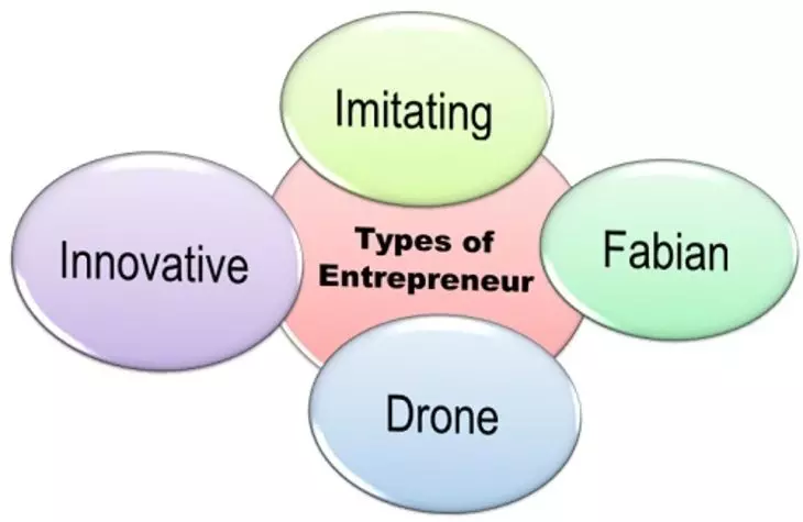 Typer og betydning av entreprenørskap 50262_2