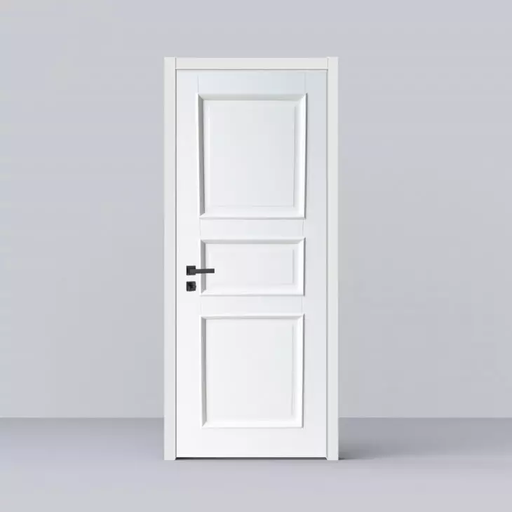 Pintu sebagai Elemen Kunci dalam Dekorasi Interior - Panduan 2022 5214_7