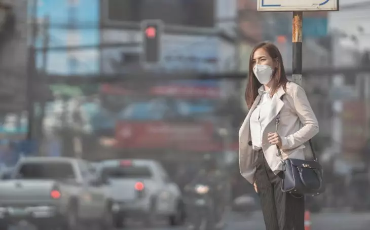 Polusi Udara: Apa Dampaknya Bagi Kesehatan Anda? 52599_3