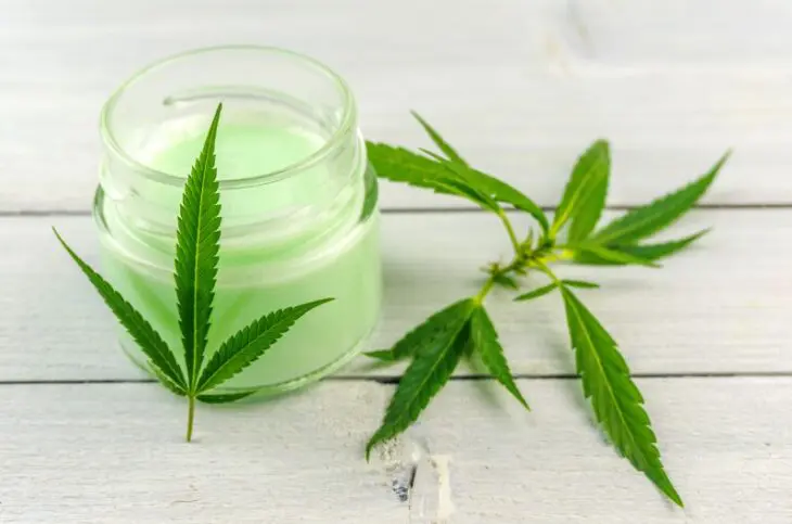 Qu'est-ce qui rend le CBD unique et pourquoi devriez-vous incorporer le CBD dans votre routine quotidienne 5411_1