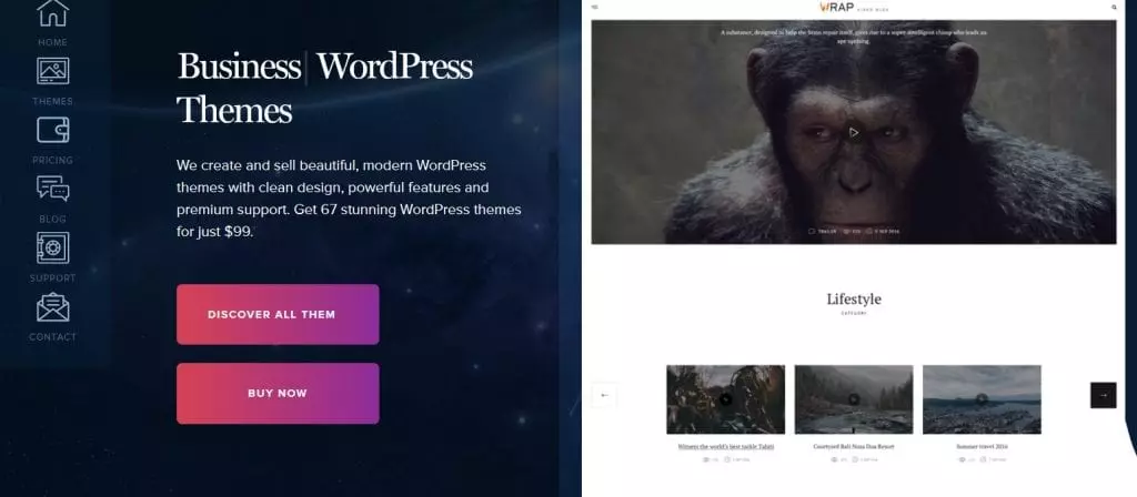 Ал жерде кандай мыкты WordPress тема дүкөндөрү бар 54120_8