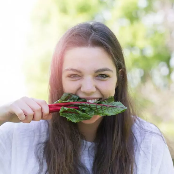 Die Seifenkiste: Das Schwierigste daran, kein Fleisch zu essen, sind die Reaktionen anderer Leute 54481_2