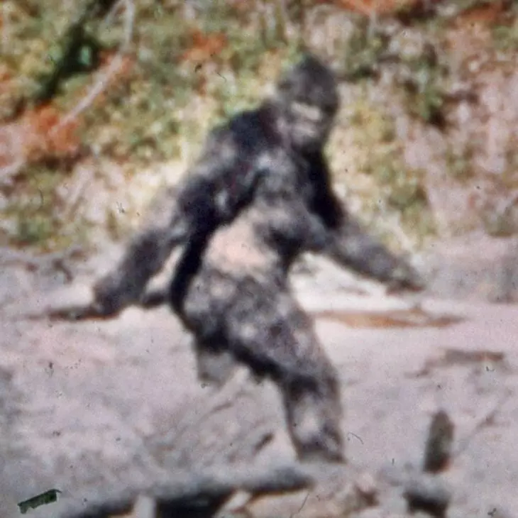 Cattive notizie: Bigfoot potrebbe essere reale e correre nel Vermont 54555_1