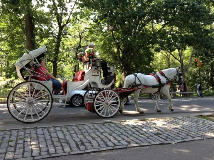 Τα πιο συναρπαστικά πράγματα που μπορείτε να κάνετε στο Central Park 5692_3