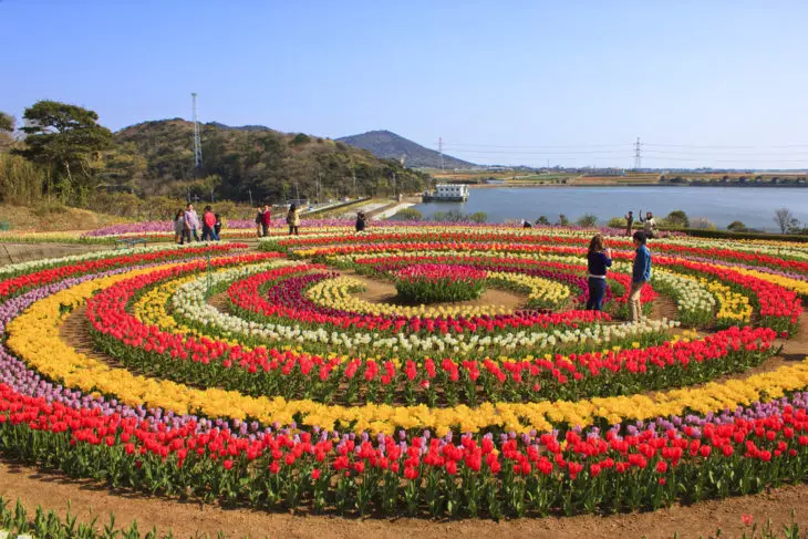 Kry die beste van die natuur met 5 natuurlike besienswaardighede in Srinagar 58697_2