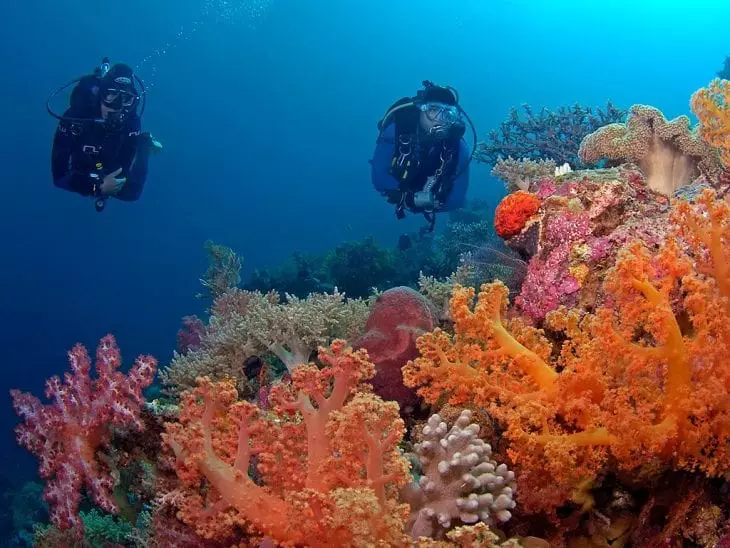 အင်ဒိုနီးရှားနိုင်ငံ၊ Gili ကျွန်းများတွင် Scuba Diving Instructor ဘာကြောင့်ဖြစ်လာတာလဲ။ 59808_3