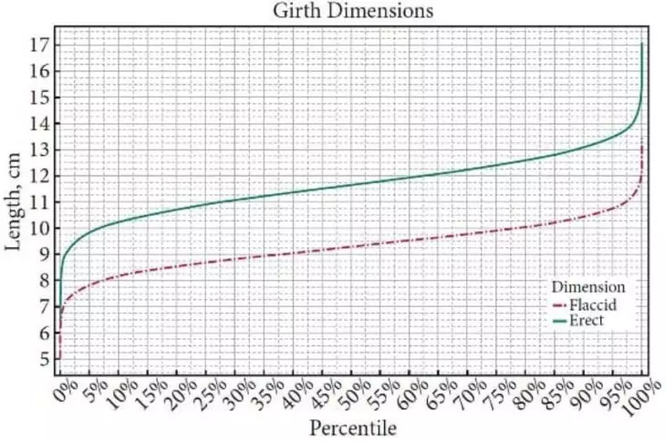 男性のがらくたの平均サイズは…科学によると 63281_5