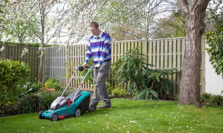 Lawn paling apik: 7 Tips kanggo nyewa Perusahaan Mowing Lawn 6780_3