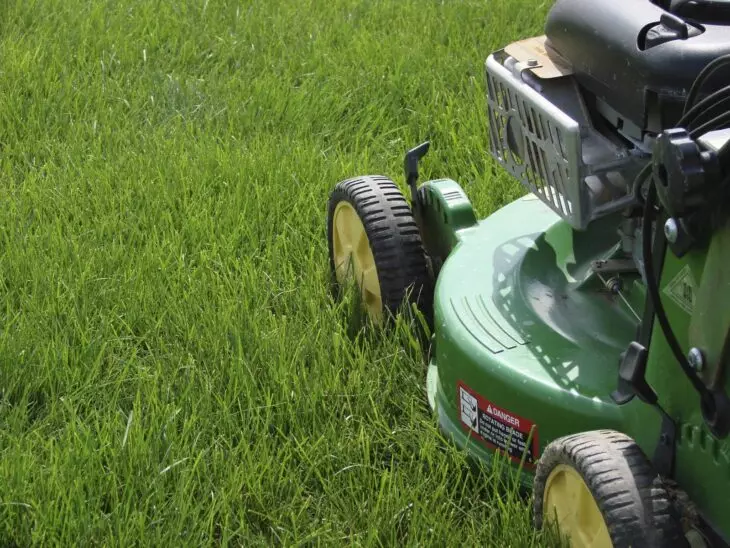 Labing Nindot tan-awon nga Lawn: 7 Tips sa Pag-hire og Lawn Mowing Company 6780_4