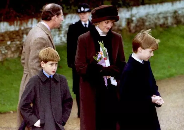 威廉王子和哈里王子與查爾斯王子的關係 6964_2