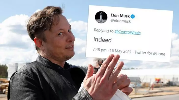 Kas Elon Musk üritab Bitcoini hävitada? 7042_1