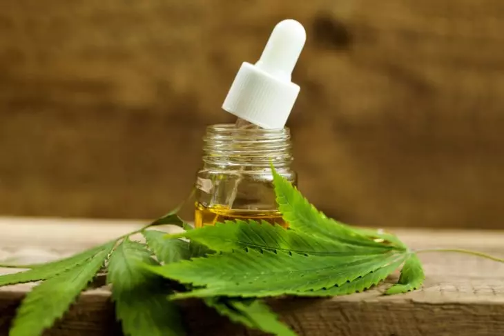 10 Fakten déi Dir Wësse Sollt Iwwer Cbd Oil 7074_3