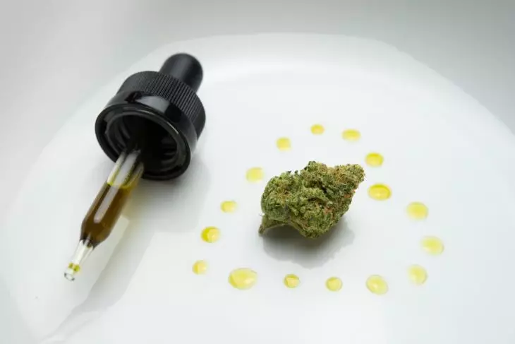 Cbd Oil haqida bilishingiz kerak bo'lgan 10 ta fakt 7074_4