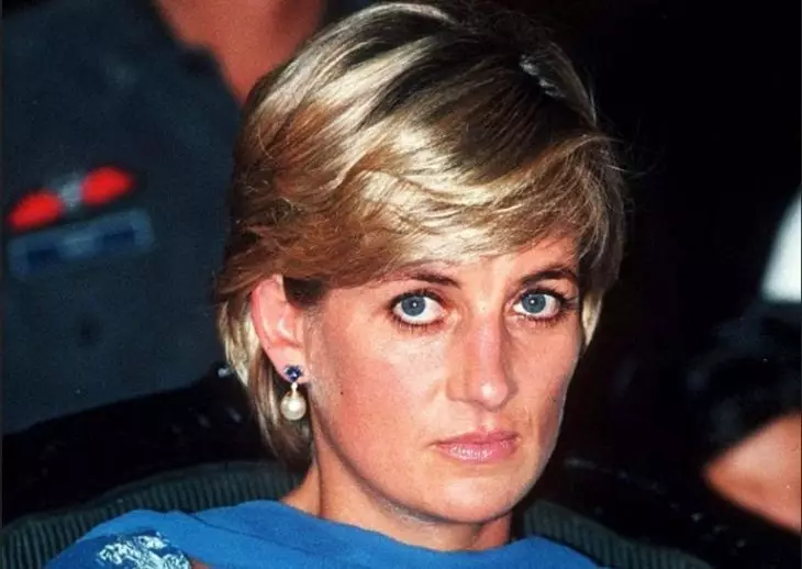 Topp 10 fortsatt eksisterende konspirasjonsteorier om prinsesse Dianas død 7081_8