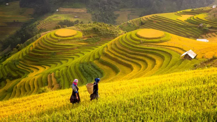 Muhimman Nasiha don Tsara Tafiya zuwa Vietnam 7368_6