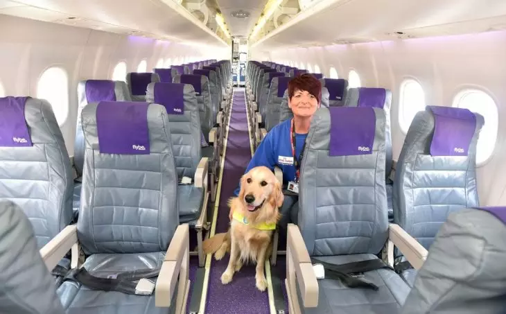 강아지와 함께 행복한 비행을 위한 9가지 팁 7375_5