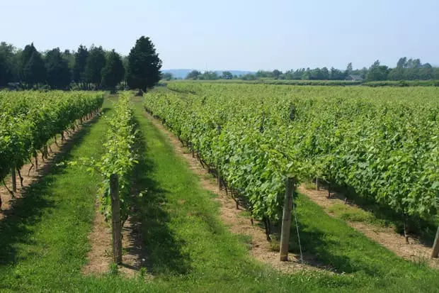 Lokale reizen: 19 plaatsen om deze zomer in het noordoosten te bezoeken 7519_10