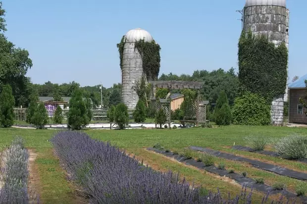 Lokale reizen: 19 plaatsen om deze zomer in het noordoosten te bezoeken 7519_3