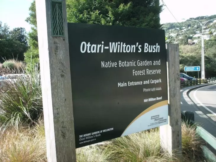Las mejores cosas para ver y hacer en Wellington, Nueva Zelanda 7548_2