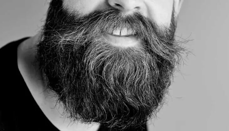 10 razões pelas quais as barbas grisalhas estão voltando em grande estilo 7584_9