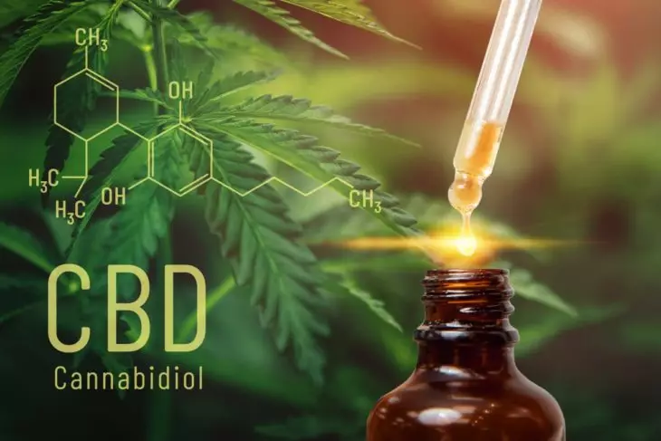 Perché l'olio di CBD fa bene alla pelle 7779_1