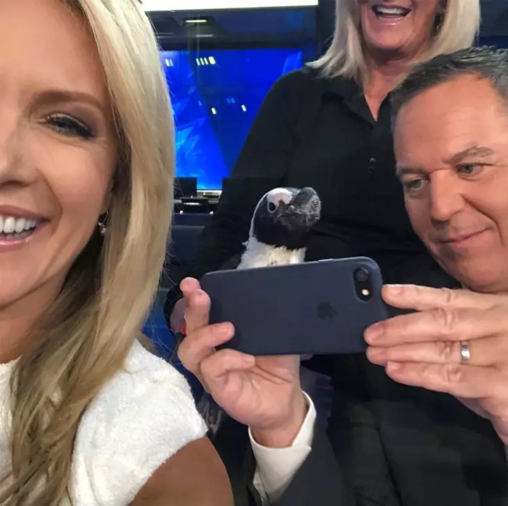 Dana Perino Monna, Net Worth 2022, Mosebetsi 7793_1