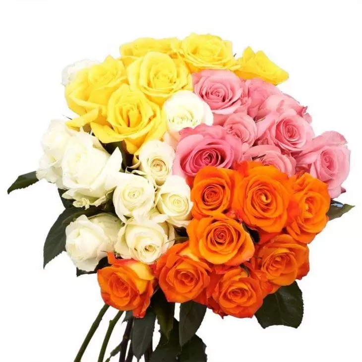ວິທີການເລືອກ bouquet ທີ່ສົມບູນແບບ 7985_2