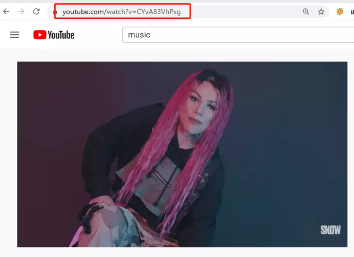 5 načina za gledanje YouTube videozapisa izvan mreže - Vodič za 2022 8366_1