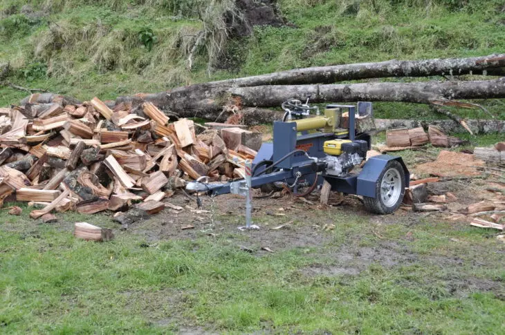 5 Gründe, warum Benzinmotoren die besten für Holzspalter sind – Leitfaden 2022 8380_4