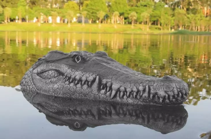 2022-nji ýylda iň oňat uzakdan dolandyrmak Alligator kellesi 863_2