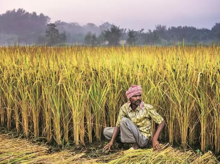Novos esquemas de agricultores lanzados na India 8738_1
