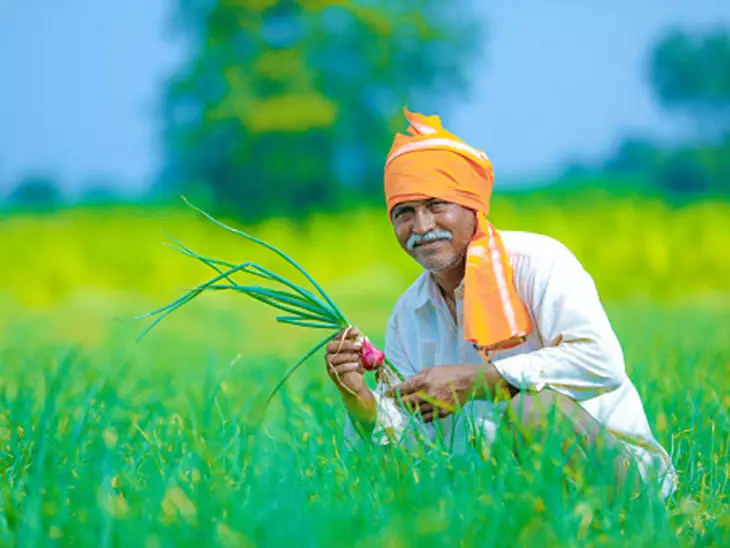 V Indii byly spuštěny nové farmářské programy 8738_2