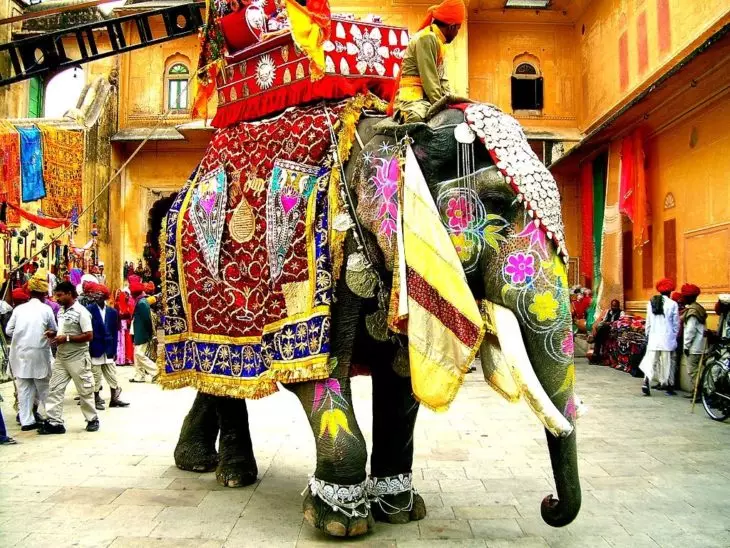 Festîvalên populer ên ku li Rajasthan kêf bikin 8742_5