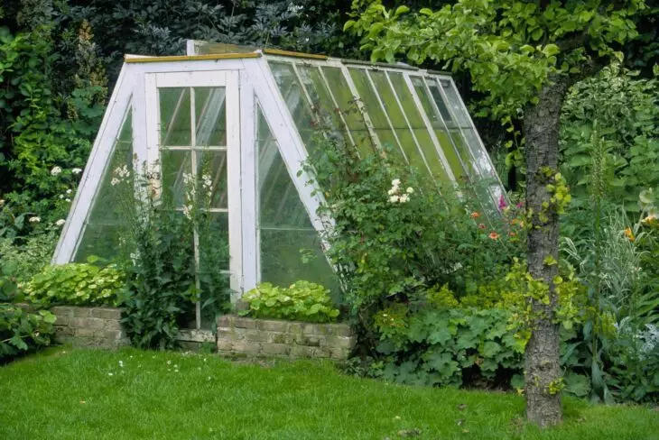 9 raisons pour lesquelles vous devriez construire une serre dans votre jardin 8817_2