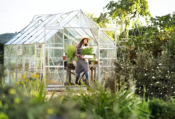 9 skäl till varför du bör bygga ett växthus på din bakgård 8817_5