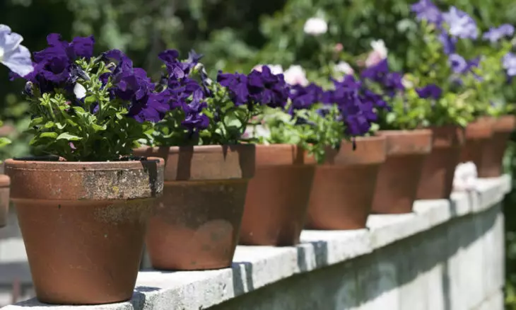 DIY: Hvordan forskjønne hagen din denne våren 2022 8836_4